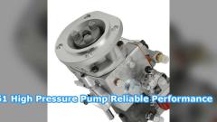 3165661 High Pressure Fuel Pump for Diesel Engines
