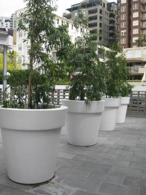 Cina Unici vasi di fiori in fibra di vetro con finitura lucida per decorazioni interne e esterne in vendita