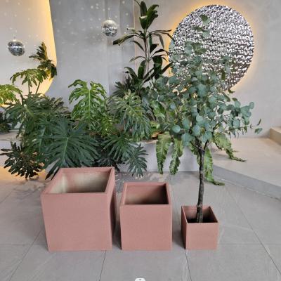 Cina Piantini di fiori in fibra di vetro per giardini in vendita