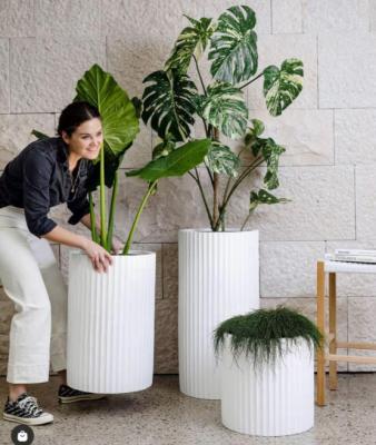 Cina Vaso di fiori in fibra di vetro da giardino Piantatore di resina in colore bianco nero in vendita