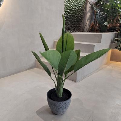 China Lightweight Plastic Flower Planter Pots Indoor Outdoor Home Garden Large for sale