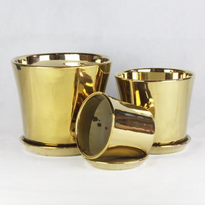 China Unique Ceramic Pots For Distinctive And Eye-catching Plant Collection for sale