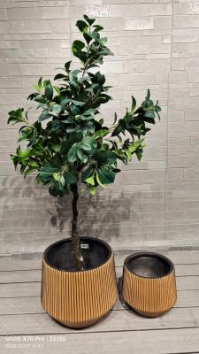 China Planta de fibra de arcilla personalizada con 7-8 años de vida útil en interiores Forma redonda en venta