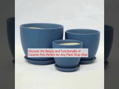 Adicione um toque de estilo às suas plantas com a nossa coleção de vasos de cerâmica