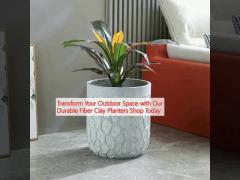 Laat uw creativiteit los met veelzijdige kunststof klei planters voor uw planten