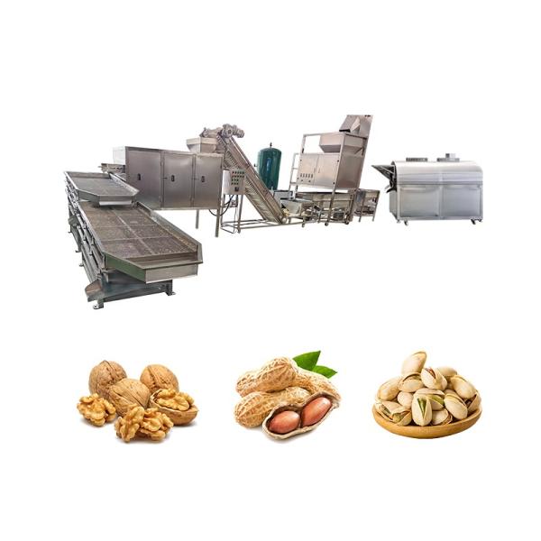 Quality Continuous Cocoa Bean Roaster Machine Hazelnut Almond Peanut Roasting Production for sale