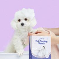 China Eco-Friendly Pet Cleaning Sheets 9.45x6.3 Inch Biodegradable Hypoallergenic with Fresh Scent for sale