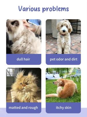 China Extra Thick Pet Cleaning Sheets Disposable Lightweight Dog Shampoo Sheets For Indoor Clean for sale