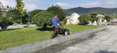 Cina Macchine per taglio di erba a combustibile a mano per giardini in vendita