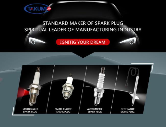 Generator spark plug R10P7 for P7.1V5 351000 P71V6 382195 3