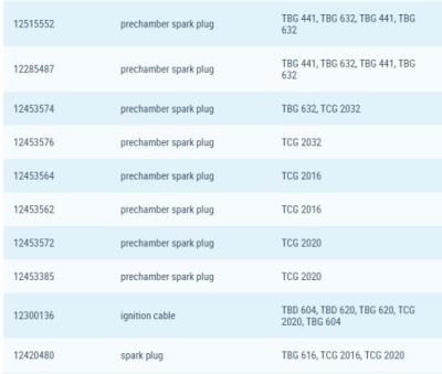 Cina Candela industriale di TAKUMI S-R6A12 per i generatori TCG2020 di MWM 2020 con la dimensione della chiave di 22.2mm in vendita
