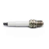 China Engine Spark Plug Replacement for Champion RB75N for sale