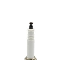 China Engine Spark Plug Replacement for Champion RB75N for sale