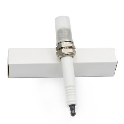 중국 전원 스파크 플러그 챔피언 RB75N 엔진 예비 부품 교체 판매용