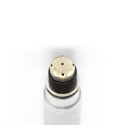 중국 프리챔버 전극 MWM TCG 2020 1245 2074 생성기 점화전 판매용