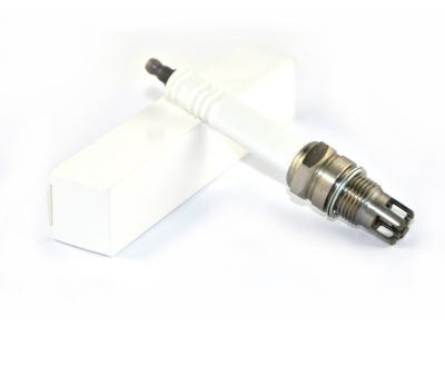 Китай Стандарт OE - качественная промышленная замена свечи зажигания факела свечи зажигания R10P7 для jenbacher продается