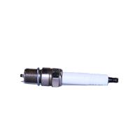 China Double Electrode Iridium Spark Plug For  And Jenbacher Generator Set for sale