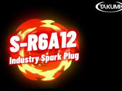 Reach 26 mm Spark Plug Match for MWM TCG 2020 All Type Engines Electrode Type Pre-Chamber