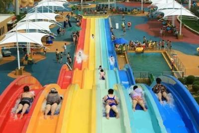 China Klassisches erwachsenes Regenbogen-Rennen-Wasser-Park-Dia / Wassersport-Ausrüstung zu verkaufen