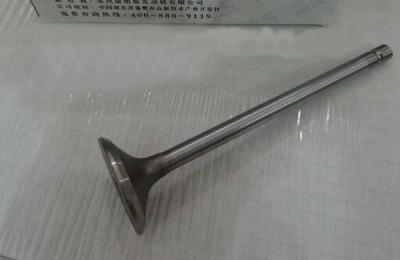 China Cummins Spare Parts Cummins L Intake/ Exhaust Valve 3942588 3800340/ 3942589 3800341 for sale