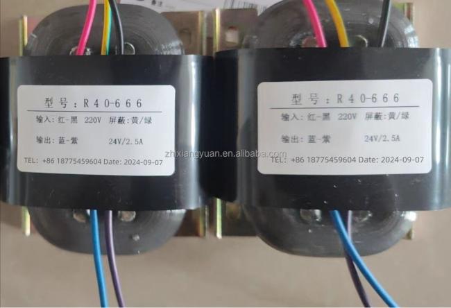 Custom R-Core Power Transformer packaging example