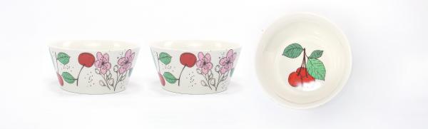 Quality STRAWBERRY DINNERWARE SET for sale