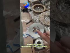 Quality Assurance Best Steel Blade For Meat Cutting Machine Circular Round Blade