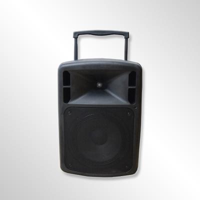 Cina HOME THEATER Pull Rod 12inch Top Active Drum Speakers Sound Music For Home Outdoor in vendita