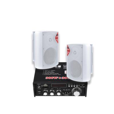 Китай Mini Small Power Amplifier Power Amplifier 12 Volt 220V Household Car Wireless Yes Speaker Small продается