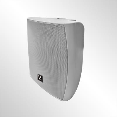 Cina HOME THEATER Professional Public Broadcasting Passive Multimedia Wall Hanging ABS HIFI Conference Room 6.5 Inch Speaker in vendita
