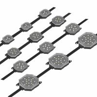 China Led Pixel Module Light String DC 24v For Building Bridge Park Lighting LED Pixel factory for sale