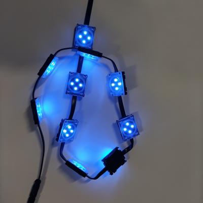 China Amusement Indoor Outdoor Point Led Light String Waterproof 24V 100pcs/String for sale