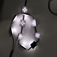 China Amusement Indoor Outdoor Point Led Light String Waterproof 24V 100pcs/String for sale