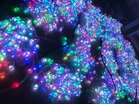 China 3D LED Pixel String Lights DMX Control DC12V Waterproof 3D Pineapple Lamp for sale