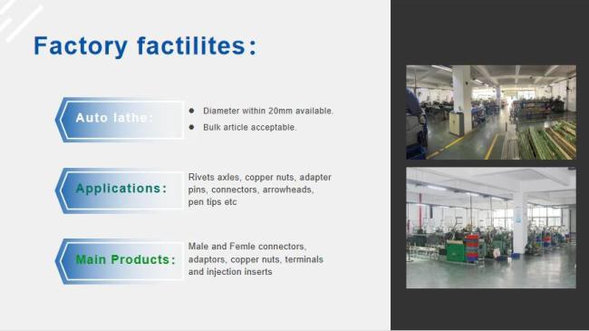 Custom Brass Parts Precision Metal Fabrication CNC Lathe Turning/Milling/Drilling Spare Part