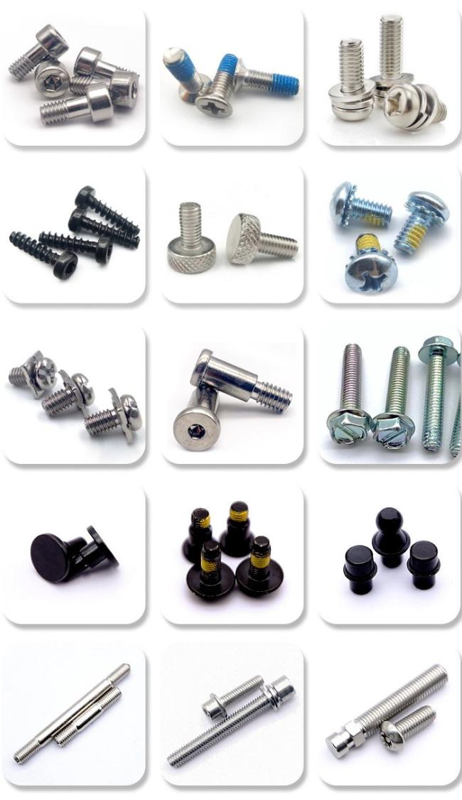Factory High Quality Custom Stainless Steel Special Fasteners Spare Part for Hydraulic Fitting