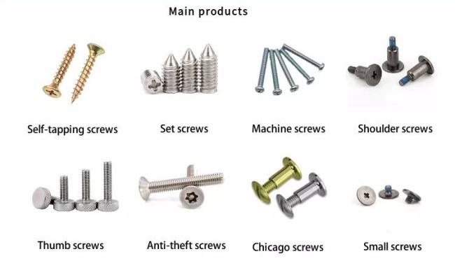 CNC Shape Bolts Zinc Plated/Stainless Steel Special Fasteners Spare Part for Auto/Bicycles