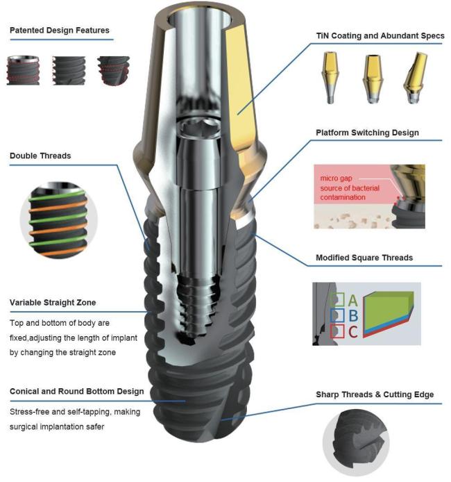 High Precise Titanium Abutment for Dental Implant Unit Screw 3 Good Price Dental Mini Implant Narrow Connection for Teeth Restoration