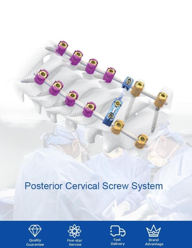 Quality Assured Orthopedic Surgery Implants Domino Bolt for Posterior Cervical Fixation System