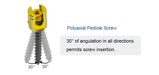 Quality Assured Orthopedic Surgery Implants Domino Bolt for Posterior Cervical Fixation System