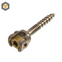 China 5.5mm Double Threaded Spinal Pedicle Screw Fixation System Customized by 2D/3D/drawing for sale