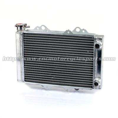 China High Polish ATV Radiator Cooling With Caps Quad Parts And Accessories for sale