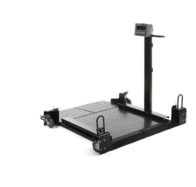 Cina Bilancia da pavimento 2888P-MS 0.5K | Piattaforma industriale 30x30 per pesatura di precisione in vendita