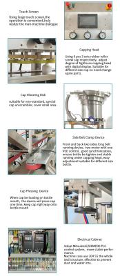 China Glass Dropper Bottle Body Gel Cosmetic Spray Bottle Screw Capping Machine For Industrial Te koop
