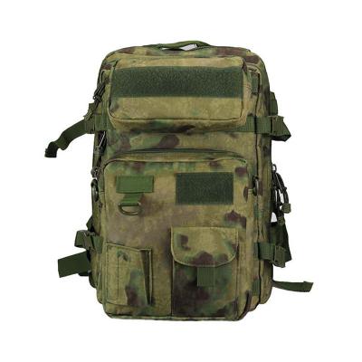 China Mochila de montanhismo e acampamento com Molle à venda