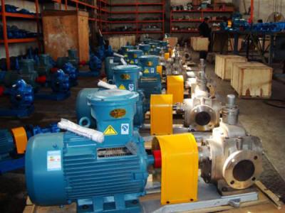 China YCB 20 stainless steel gear pump - YCB 10 Arc gear pump for sale