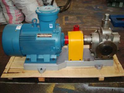 China YCB 30 stainless steel gear pump - YCB 40 Arc gear pump-YCB 40 gear pump for sale