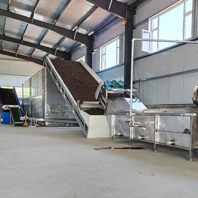 China 1.6M Belt Dryer Chemical Food Pharmaceutical Industry Smart Dryer Belt for sale