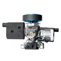 China New Dle200 Cc Gasoline Engine for Paramotor ( Standard Version) for sale