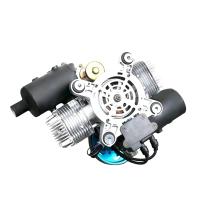 China New Dle200 Cc Gasoline Engine for Paramotor ( Standard Version) for sale